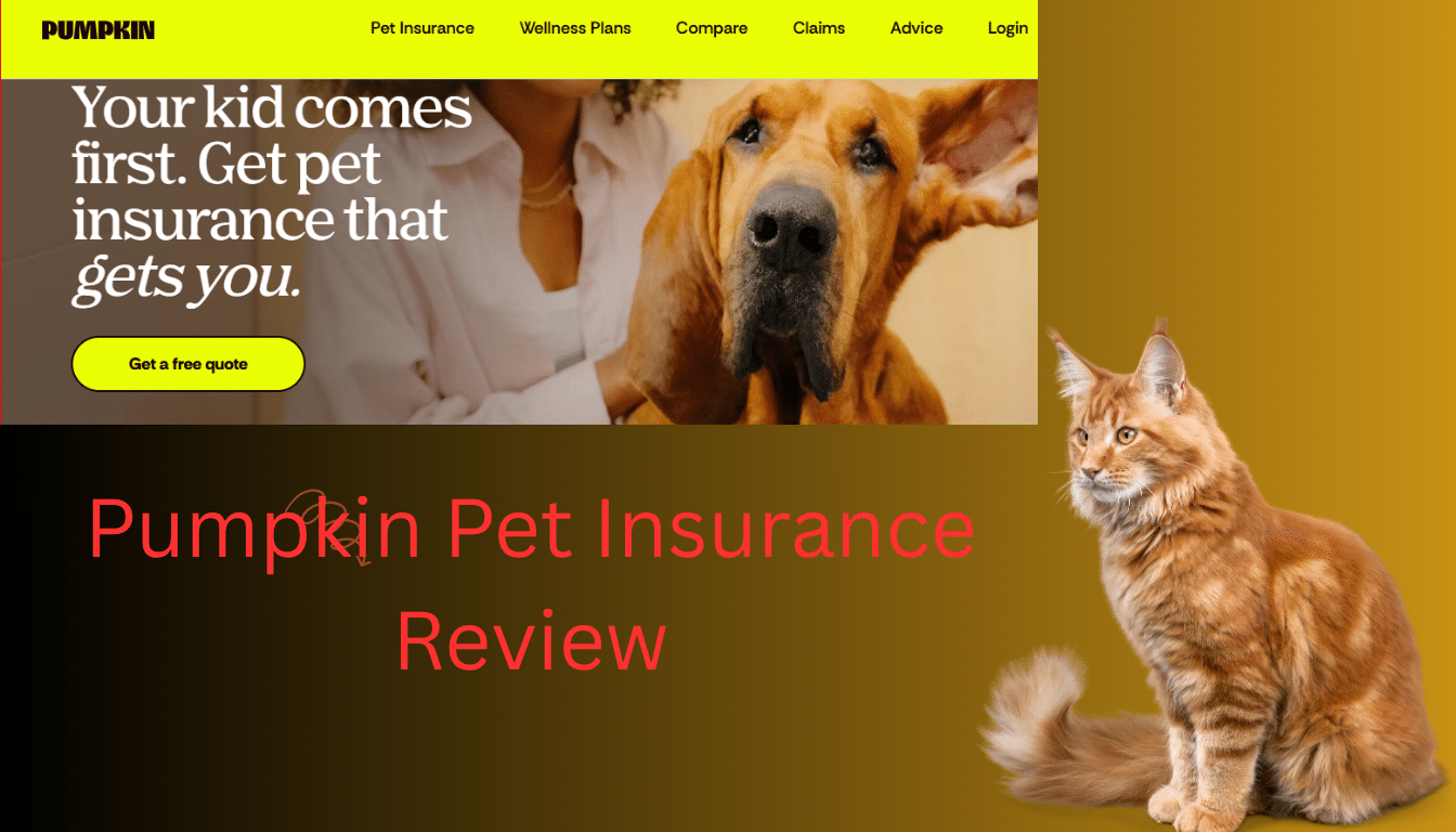 Pumpkin Pet Insurance Review 2026: Coverage, Cost & Pros Explained